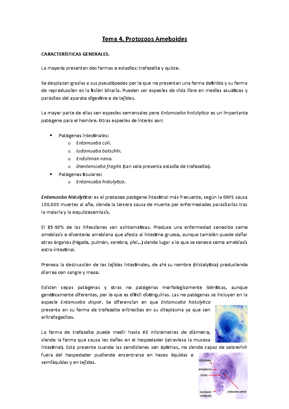 Tema 5 Parasitología Protozoos Ameboides - Tema 4. Protozoos Ameboides ...