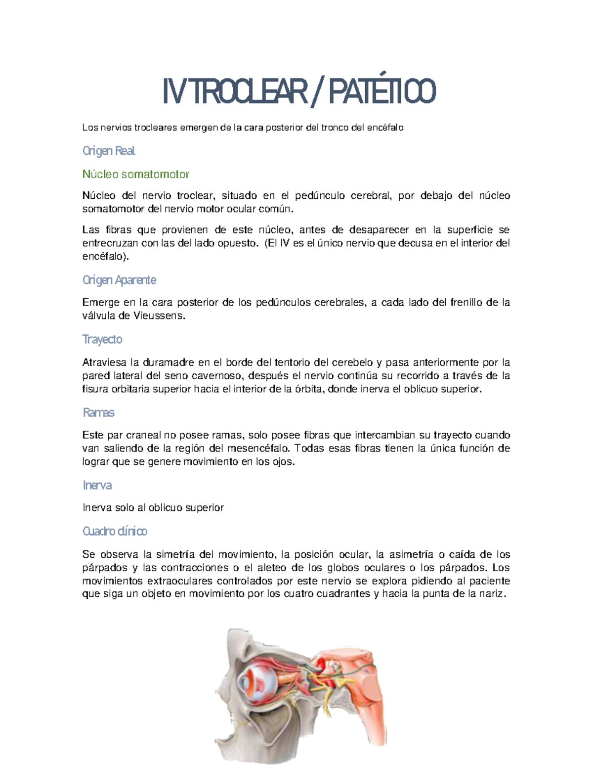 IV Troclear - Se conoce el origen aparente y real - IV TROCLEAR / PAT ...