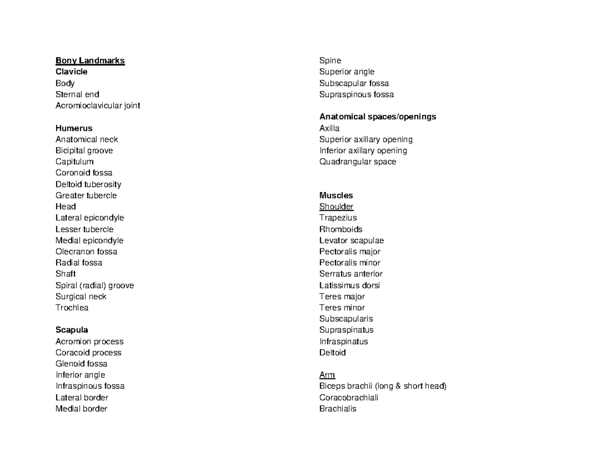 AUN Flag test 1 muscle, nerve and bloody supplies tables - Bony ...