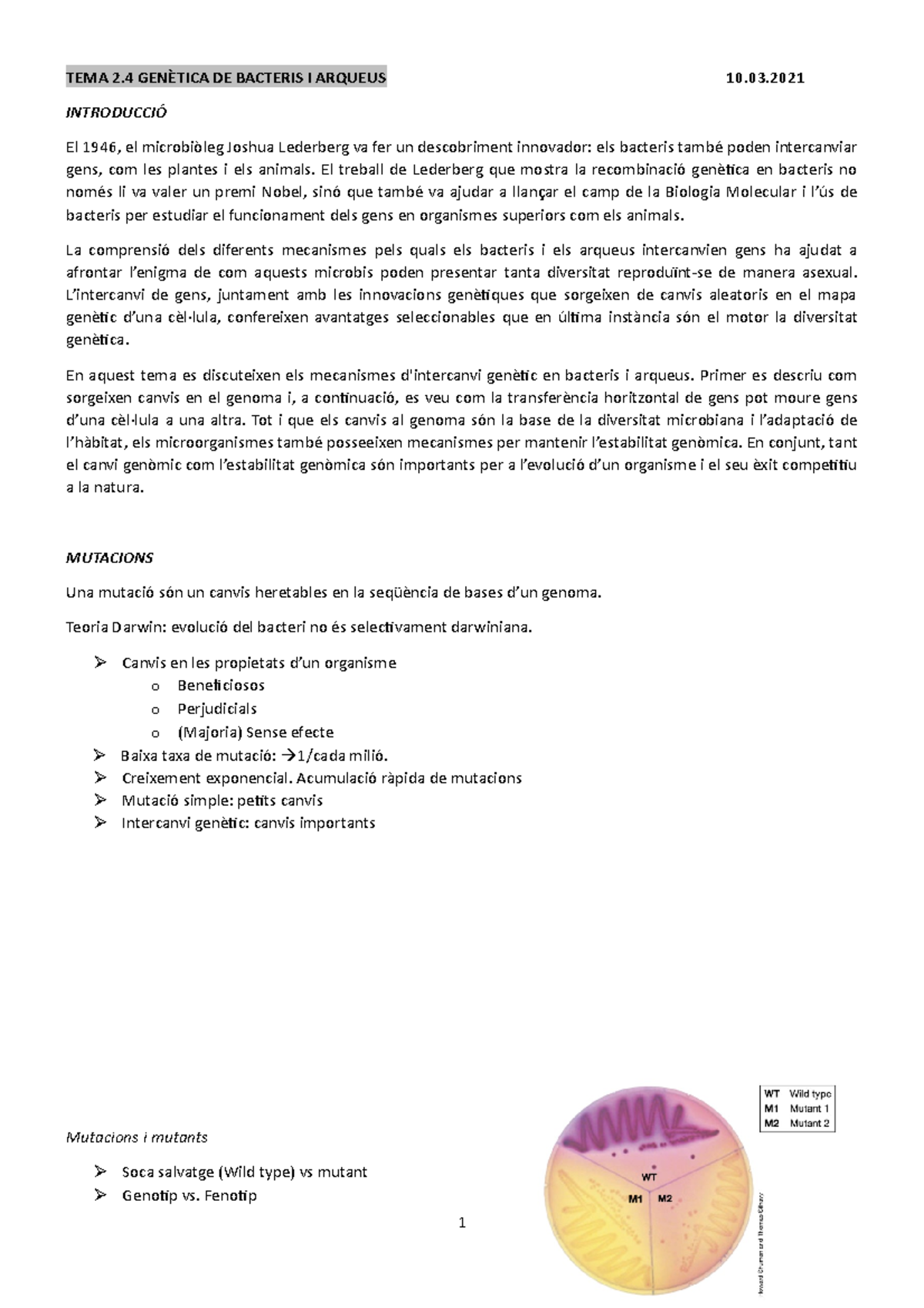 2.4 bacteris i arqueus - TEMA 2 GENÈTICA DE BACTERIS I ARQUEUS 10 ...