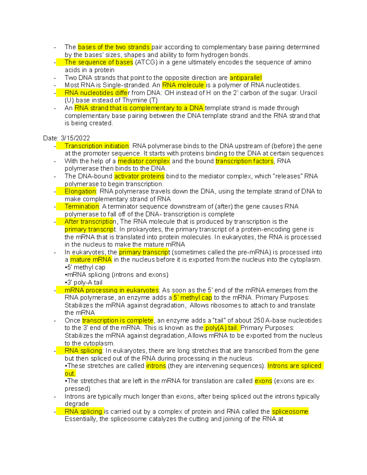 Untitled document (69) - The bases of the two strands pair according to ...