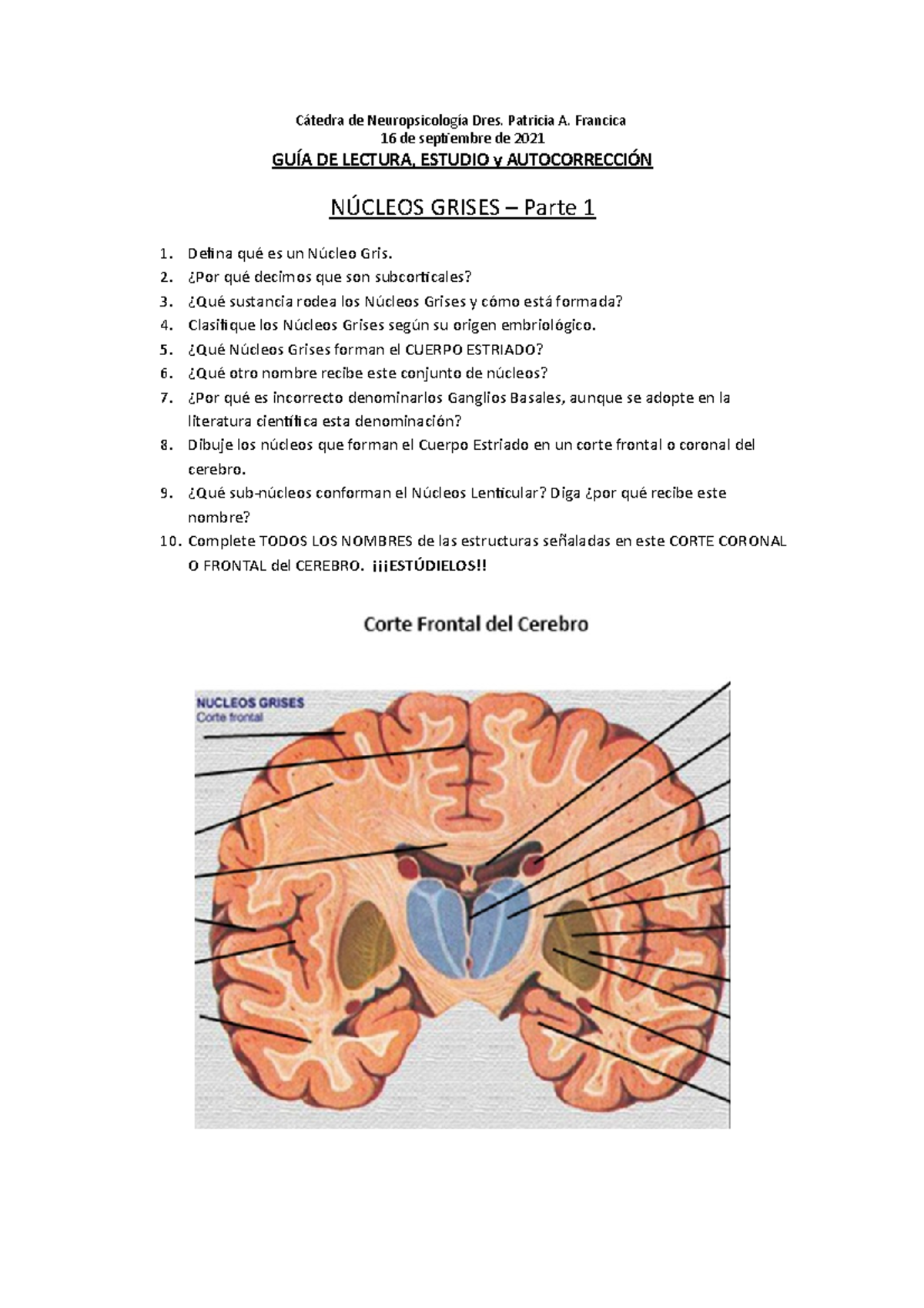 Trabajo Practico Nucleos Grises. 1 Parte - Cátedra de Neuropsicología ...