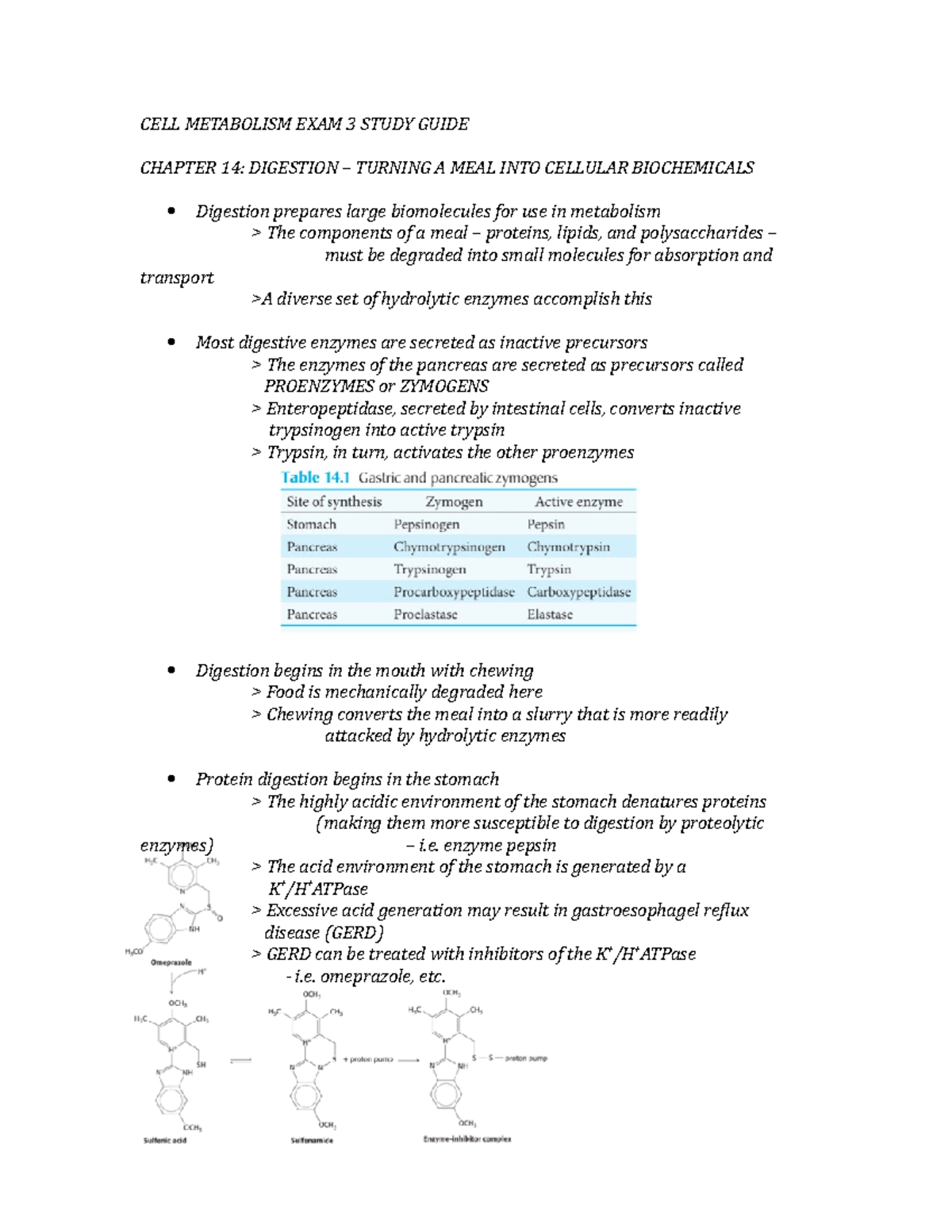 Cell Metabolism Exam 3 Study Guide - CELL METABOLISM EXAM 3 STUDY GUIDE ...
