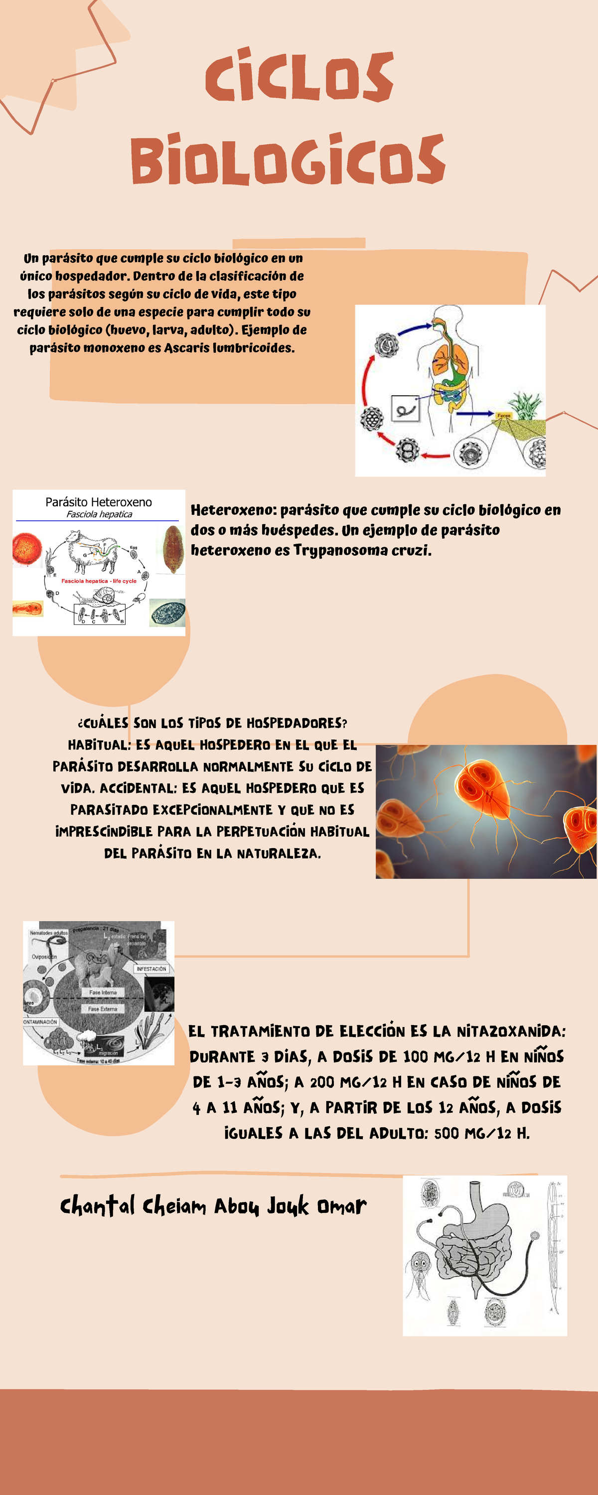 Infografia ciclo - BIOLOGICOS Heteroxeno: parásito que cumple su ciclo ...