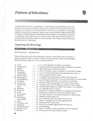 Ans 2nd genetics mitosis-meiosis packet - BIOL 208 - Studocu