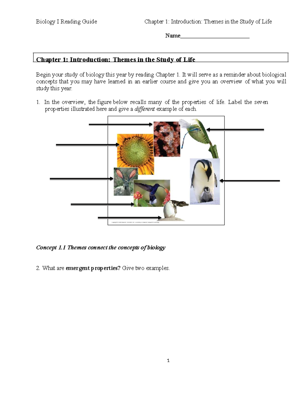 Chapter 1 Study Guide - Name Chapter 1: Introduction: Themes in the ... Chapter 1 Study Guide - Name Chapter 1: Introduction: Themes in the ...