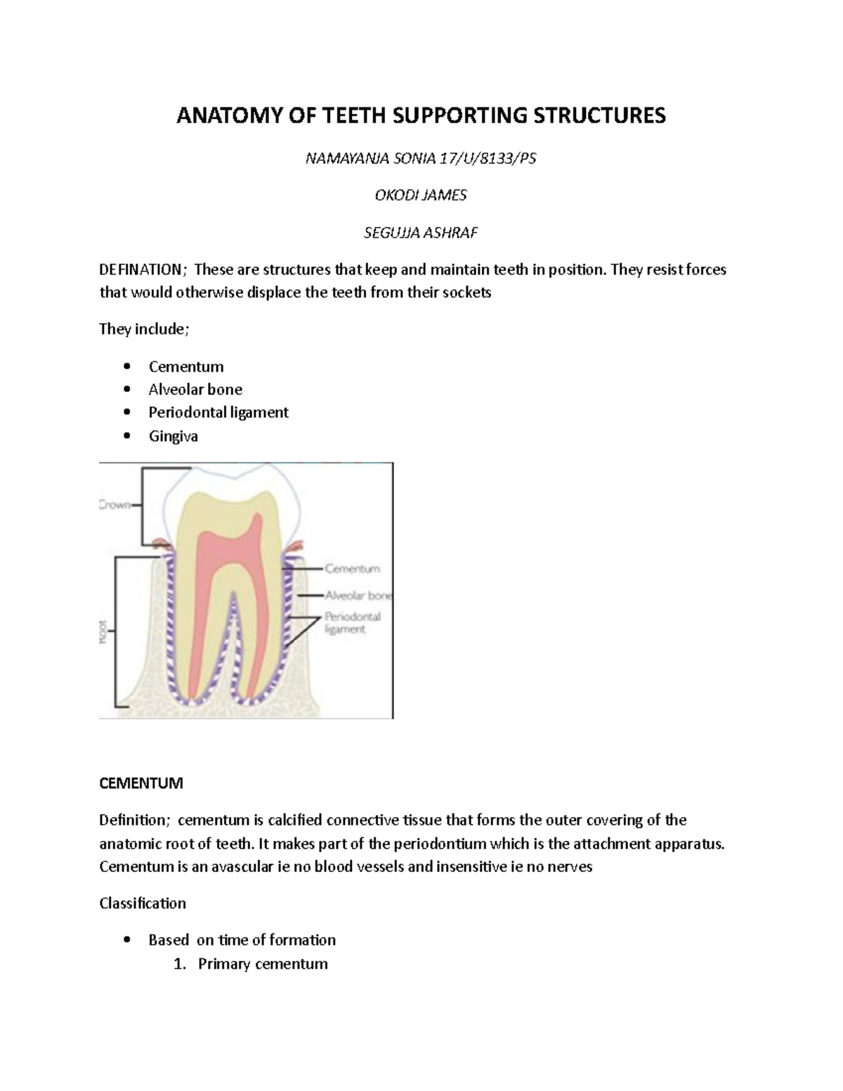 Anatomy OF Teeth Supporting Structures - ANATOMY OF TEETH SUPPORTING ...