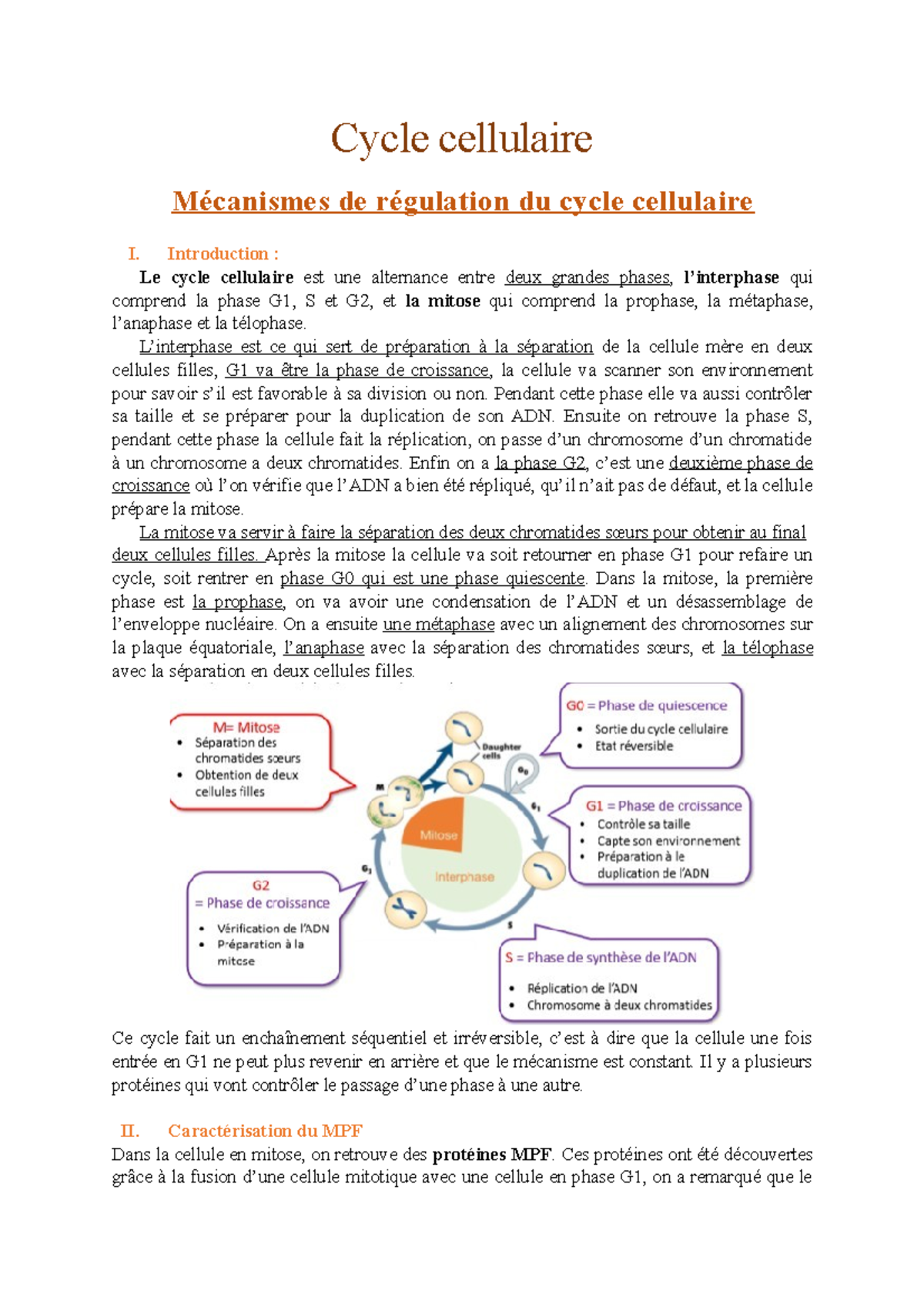 Cycle cellulaire - Cours Licence 2 - BMC, donné par Pr. François F ...