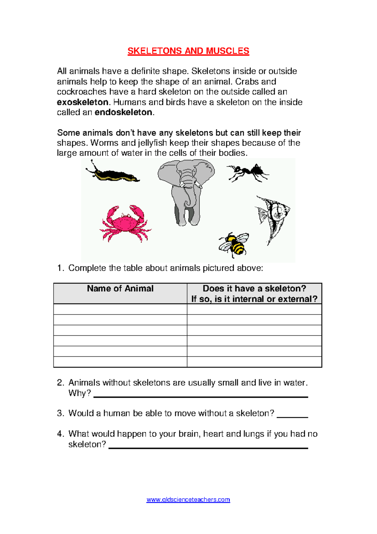 Bones muscles and joints worksheet 5 - qldscienceteachers SKELETONS AND ...