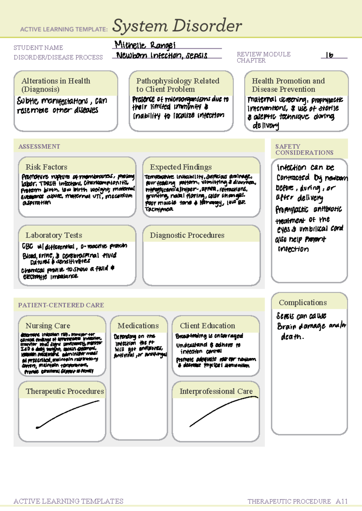 Newborn safety, sepsis active learning template - STUDENT NAME DISORDER ...