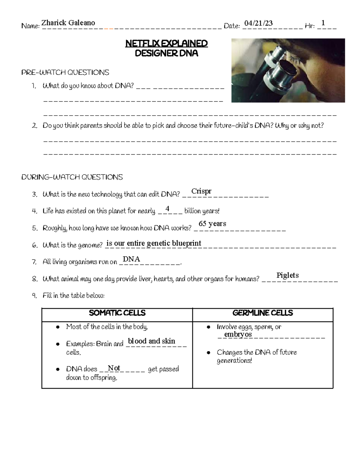 Zharick Galeano - Netflix Explained Designer DNA-1 - Name