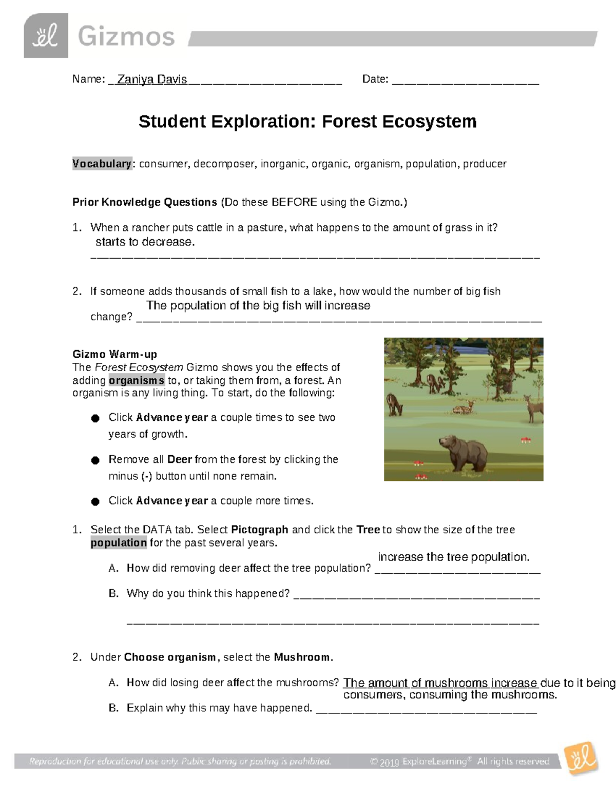 Forest Ecosystem SE - jwhbvdn - Name ...