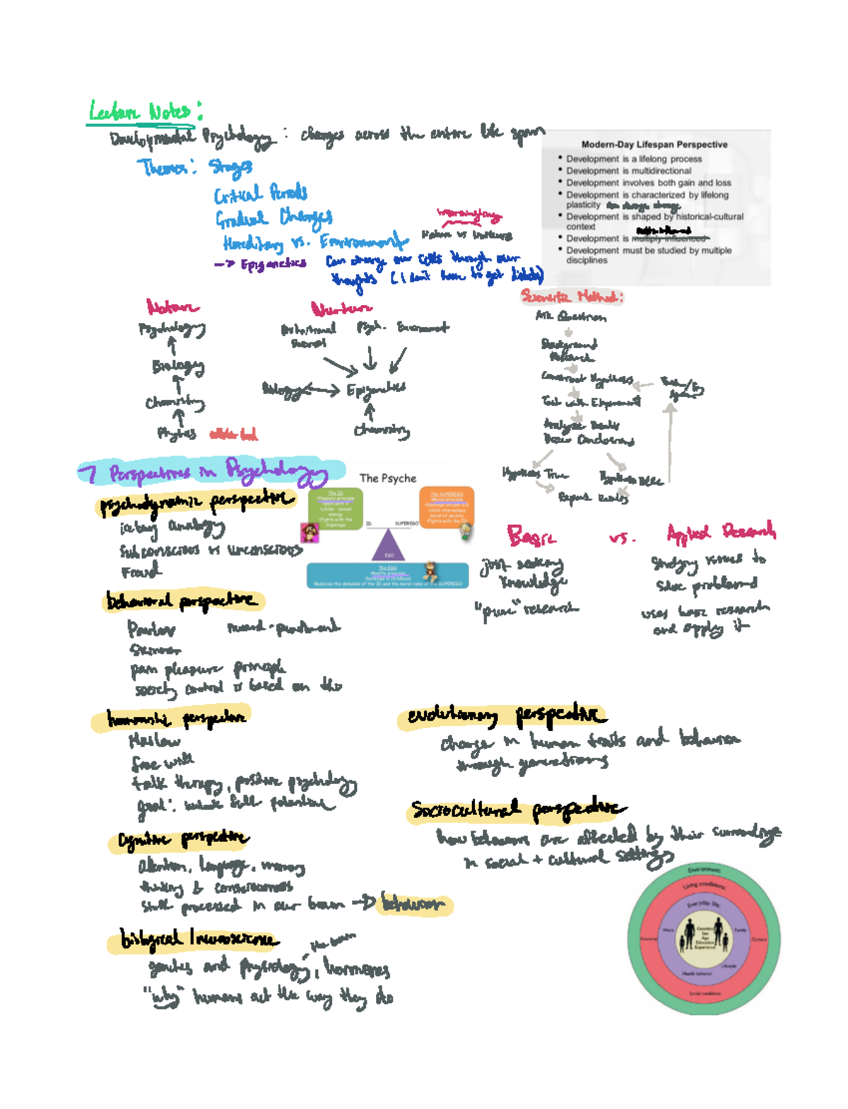 Lifespan Development - LectureNotes DevelopmentalPsychology changes ...