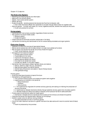 Full Body Assessment - Sample + - general broad based questions OPQRST ...