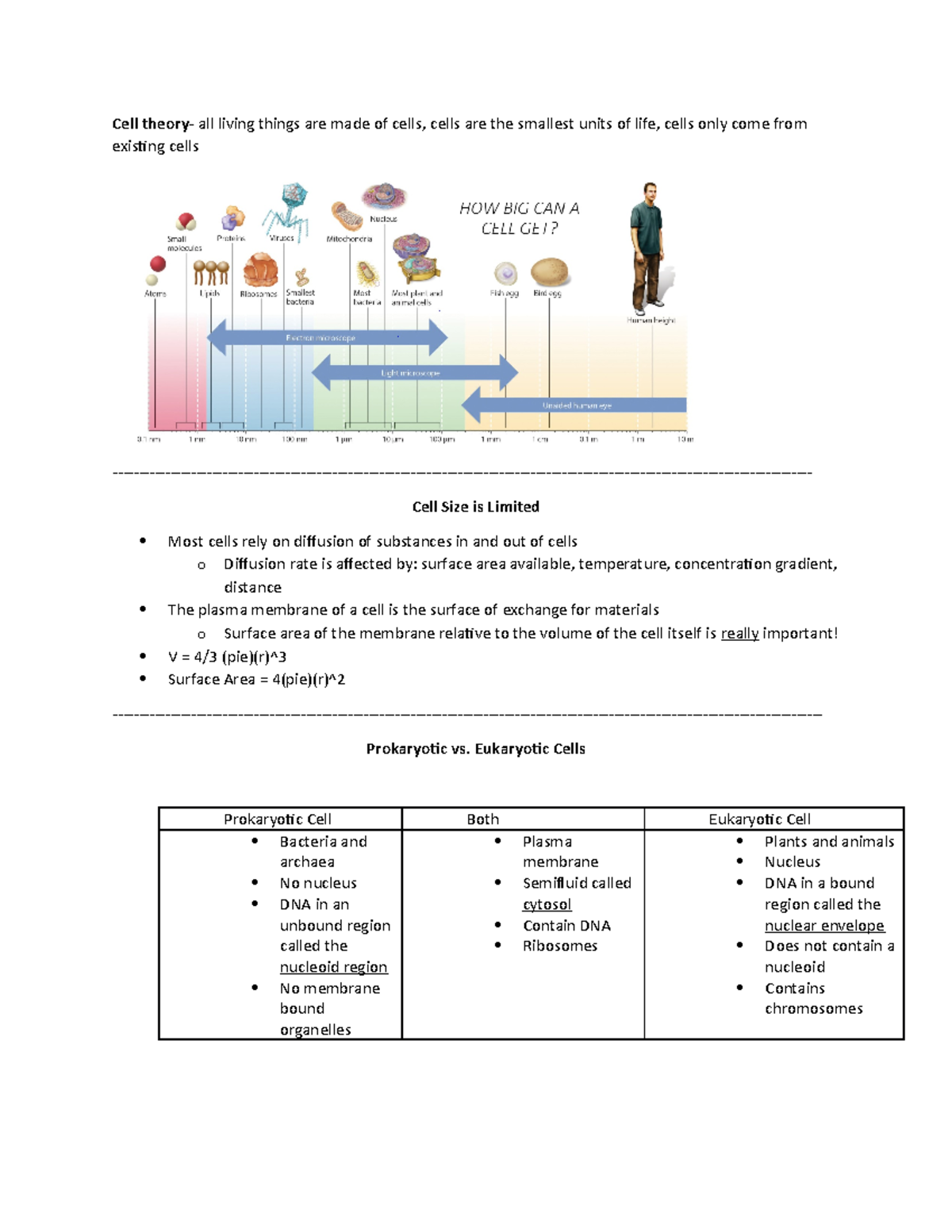Ch 4 - Introduction to Cells - Cell theory- all living things are made ...