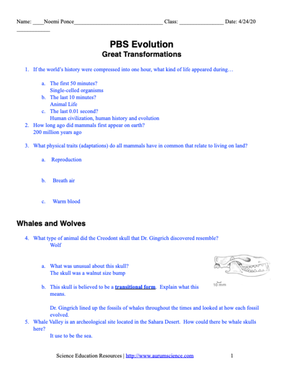 460096723 PBS Evolution Great Transformations - 7.012 - Studocu