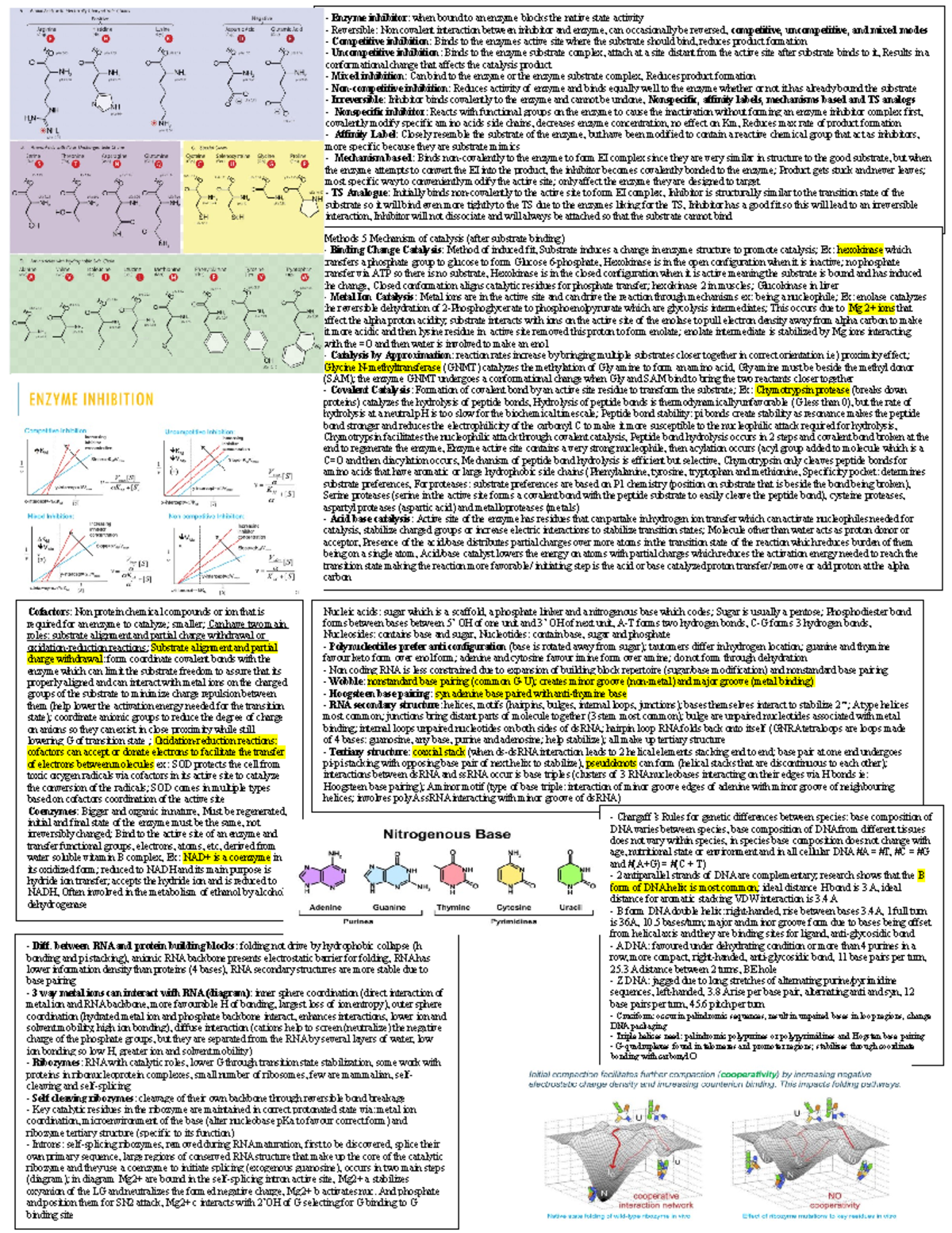 Cheat Sheet for biochem2333 Rachel Final Exam - Enzyme inhibitor: when ...