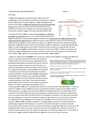 Tecniche di biologia molecolare - Tecniche di biologia molecolare Obiettivi dello studio ...