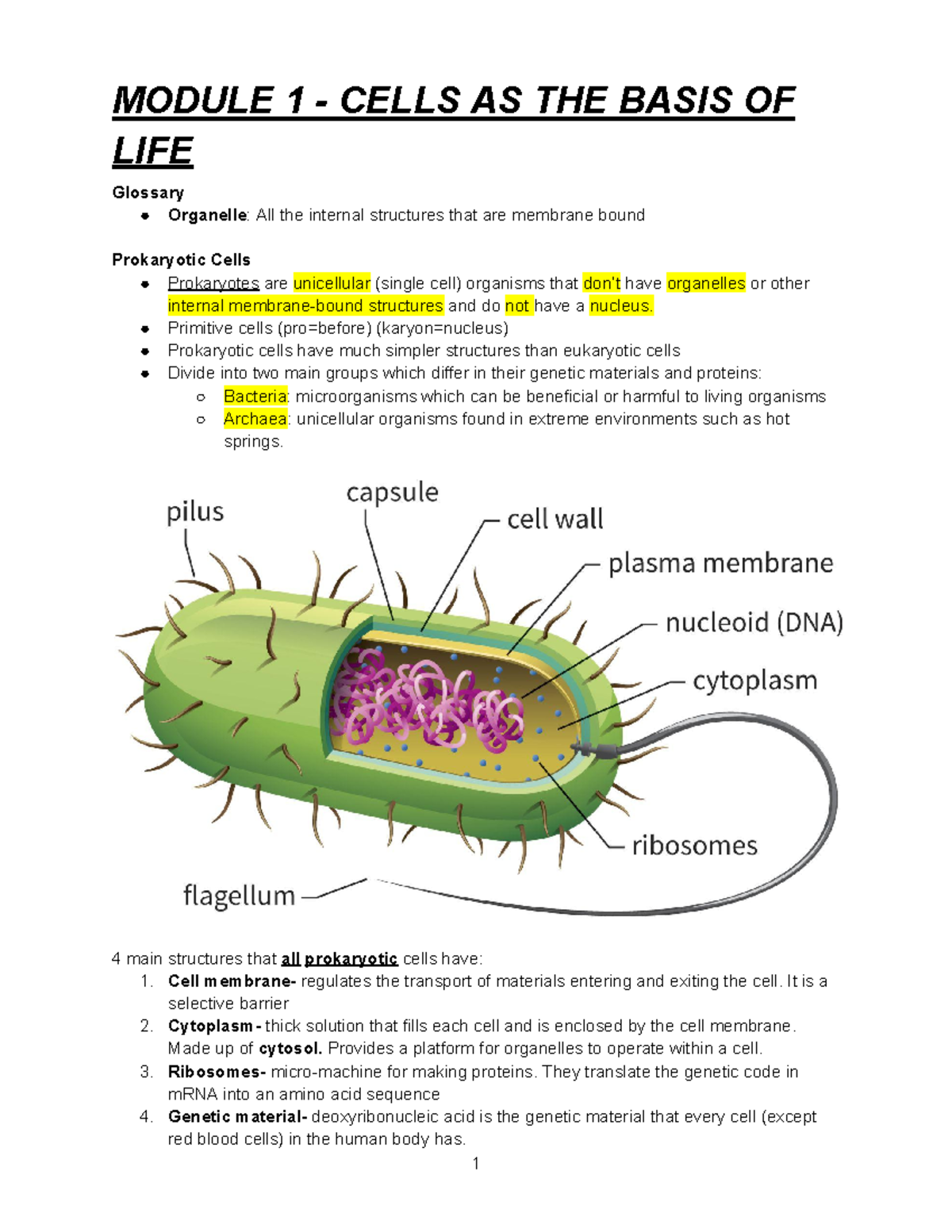 Biology Preliminary Notes - MODULE 1 - CELLS AS THE BASIS OF LIFE ...