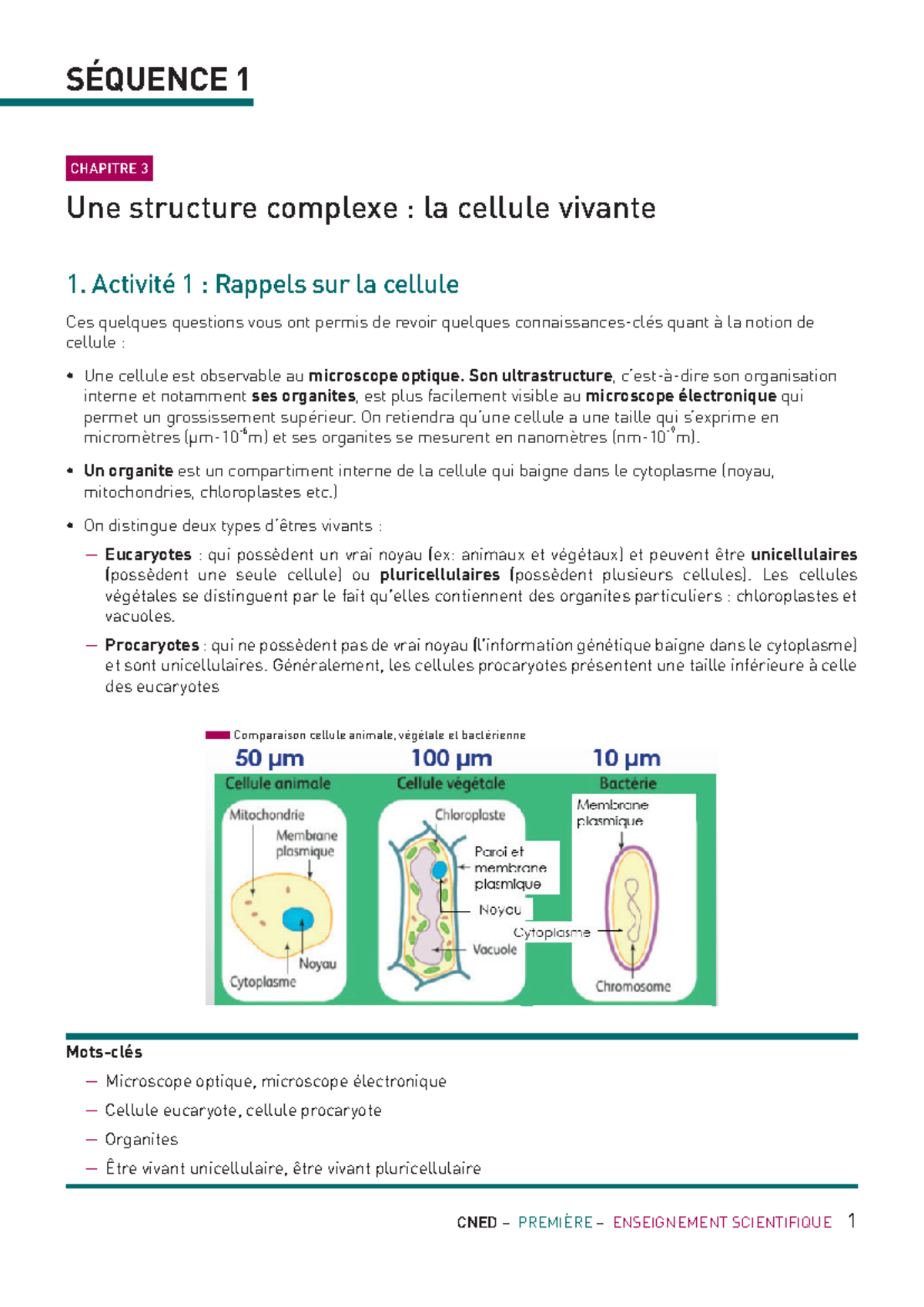 SG16-TE-01-19 chap - SÉQUENCE 1 CHAPITRE 3 Une structure complexe : la ...