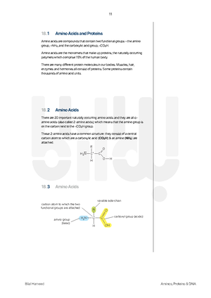18 Amino Acids Proteins DNA Notes 2021 e41 compressed - 11 18. Amino ...