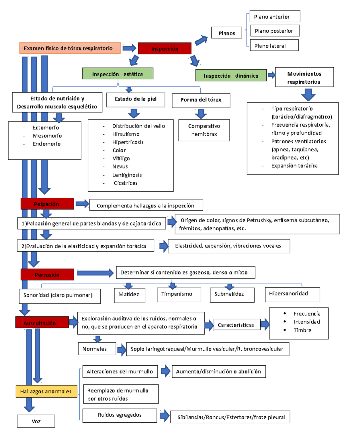Torax respi - Medicina interna - Voz Sibilancias/Roncus/Estertores ...