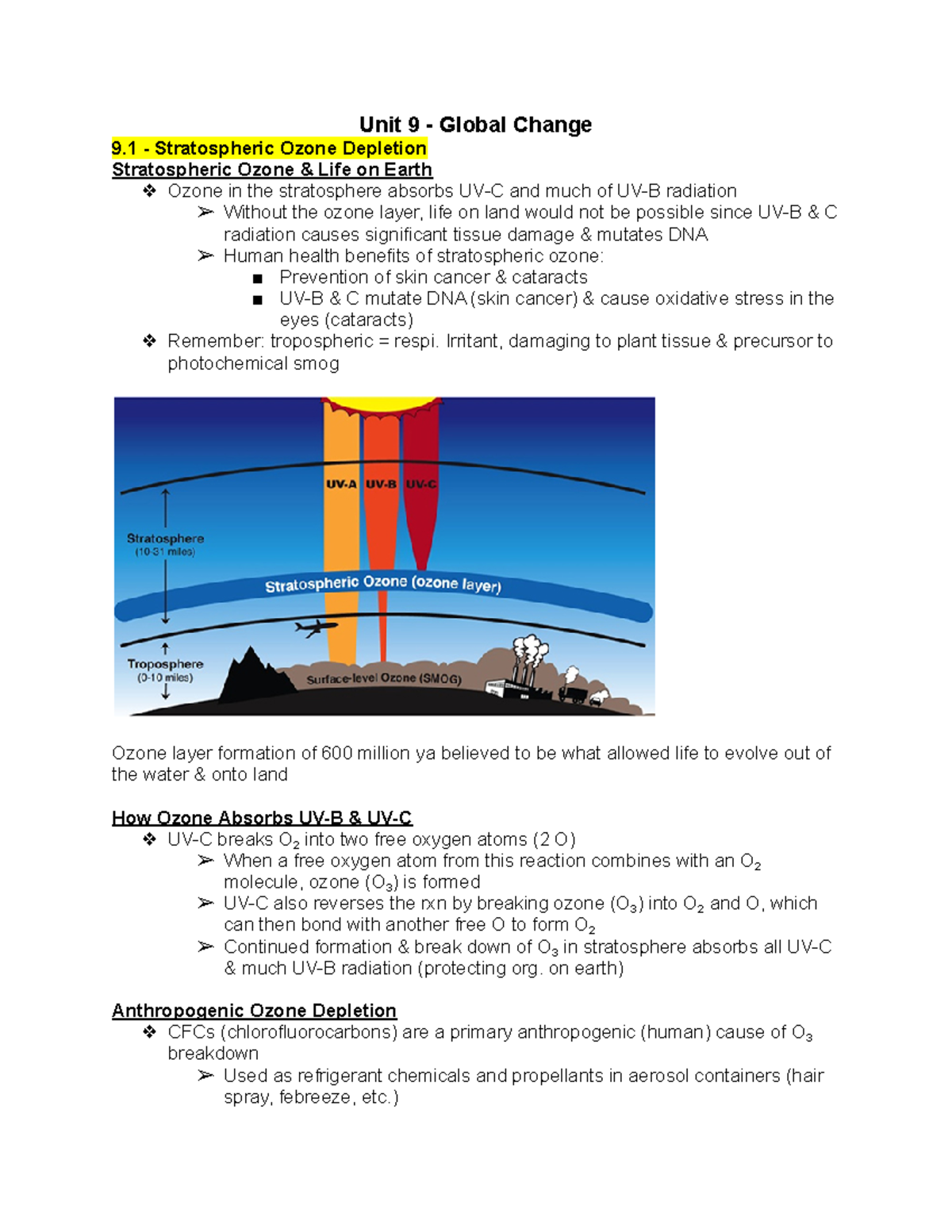 Unit 9 lecture notes - Unit 9 - Global Change 9 - Stratospheric Ozone ...