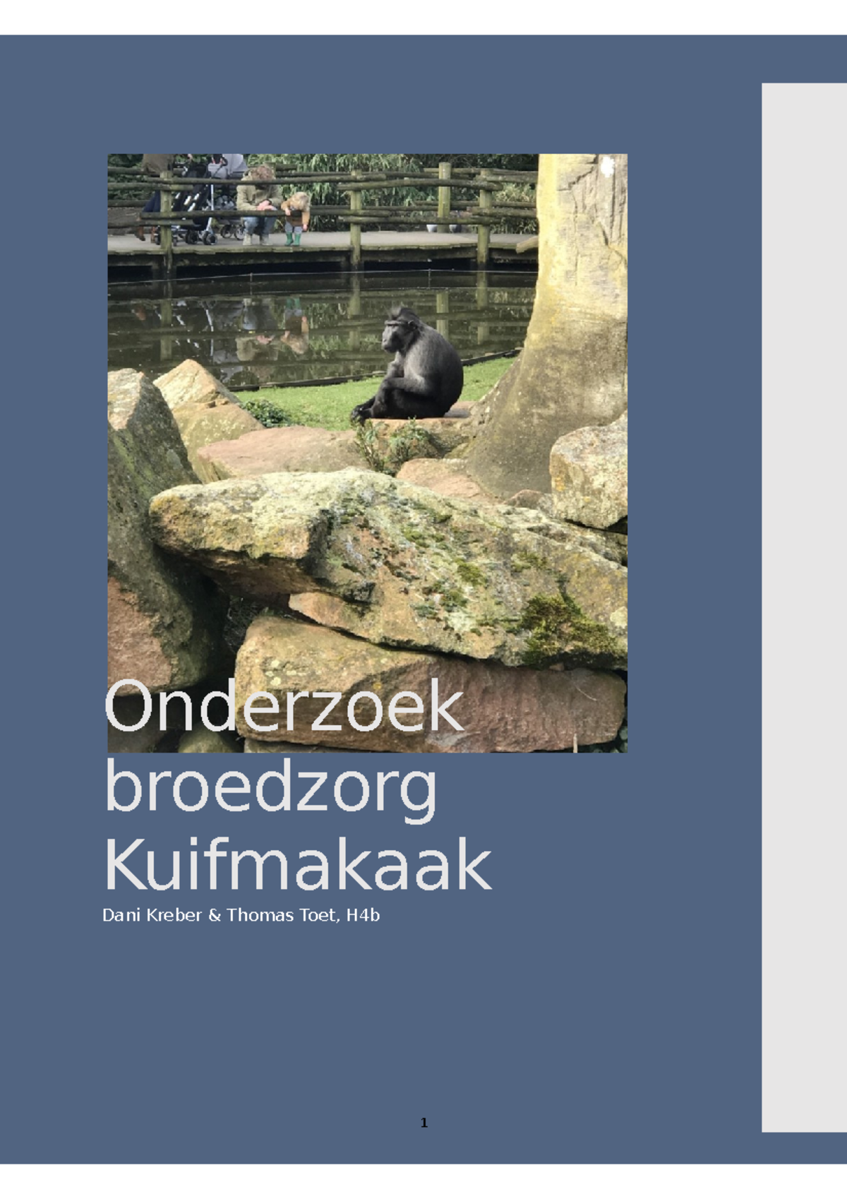 Praktische Opdracht Biologie 2017 - Onderzoek broedzorg Kuifmakaak Dani ...