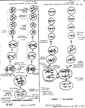 AP Biology Unit 2 - notes - 1 Biology Unit 2 The Cell Membranes and ...