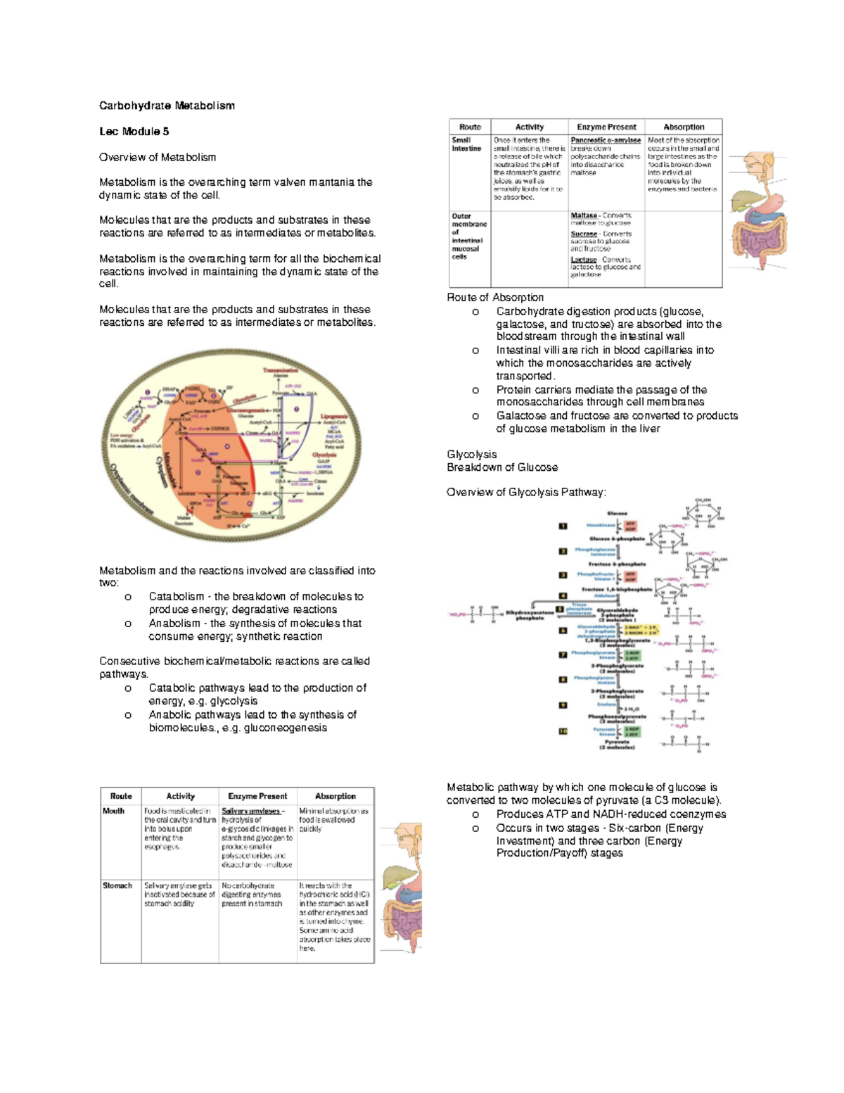 Biochem LEC MOD 5 & 6 - Carbohydrate Metabolism Lec Module 5 Overview ...