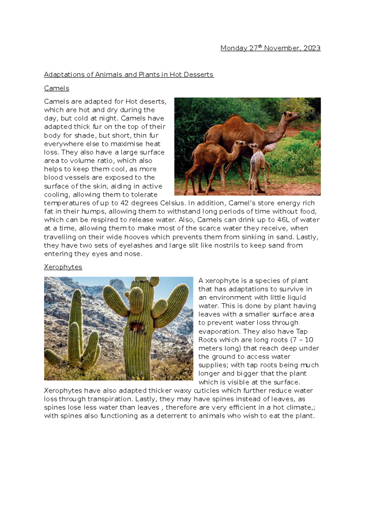 Adaptations of Animals and Plants in Hot Desserts - Monday 27th ...