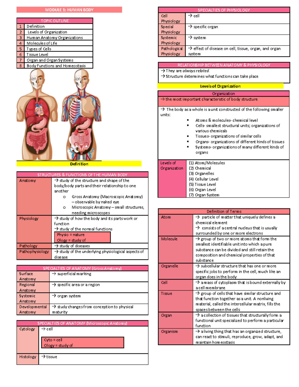 1M Human Body - Module 1 transcribed from powerpoint presentation and ...