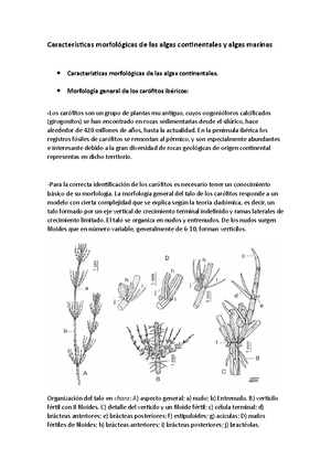Ontologia informatica - DEFINICION El término ontología en informática ...