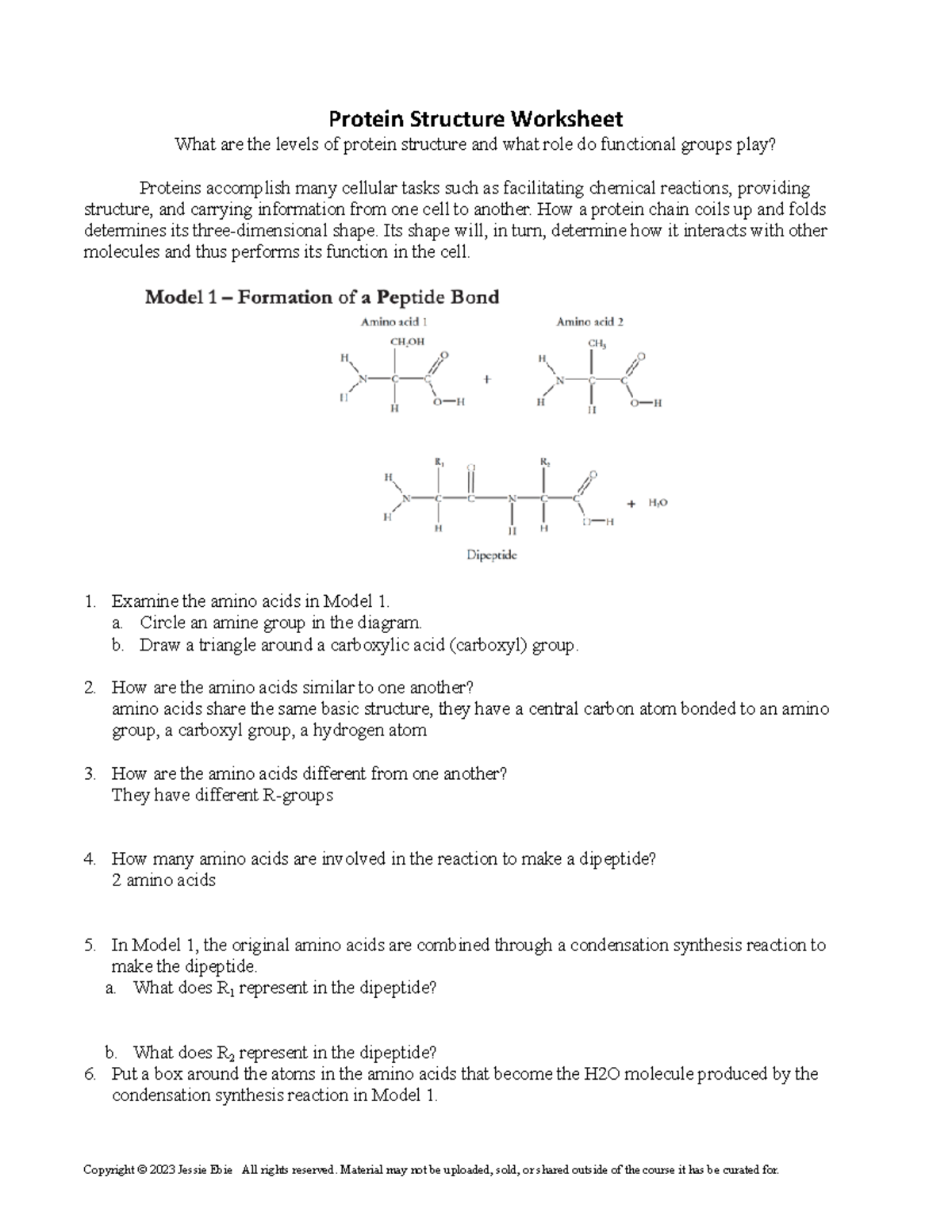 02 Protein structure worksheet - Protein Structure Worksheet What are ...