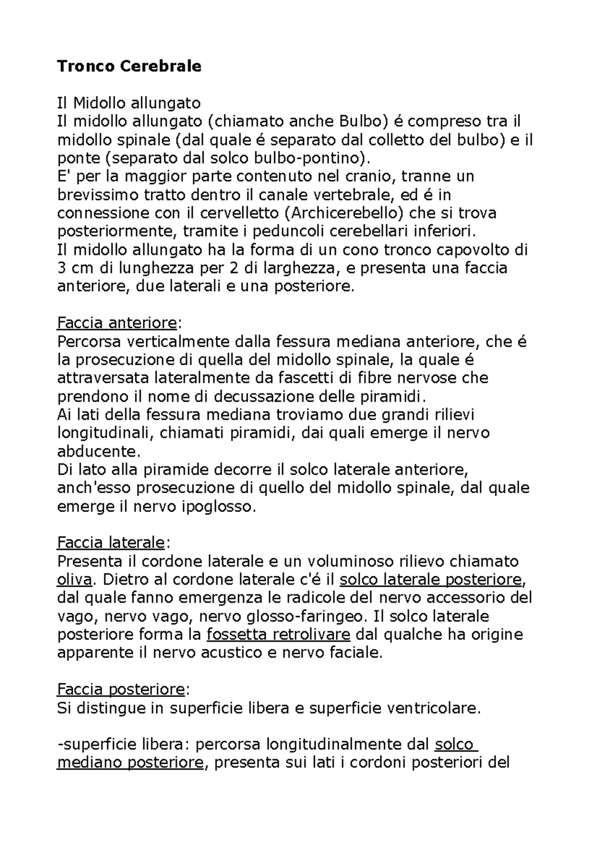 Tronco Cerebrale - Riassunto - Tronco Cerebrale Il Midollo allungato Il ...