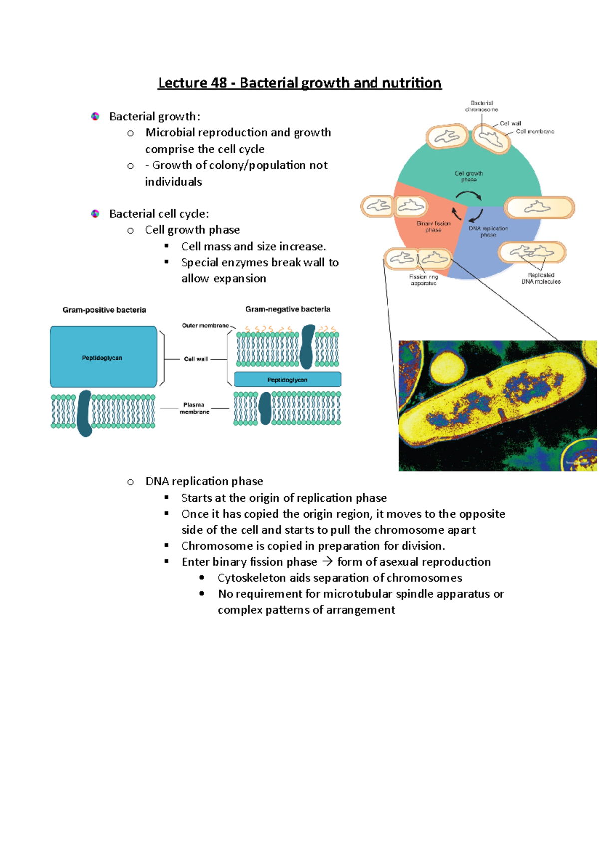 Lecture 48 - Bacterial growth and nutrition - Lecture 48 - Bacterial ...