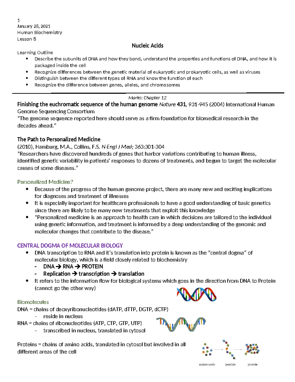 08 Nucleic Acids - HTHSCI 1LL3 - January 28, 2021 Human Biochemistry ...