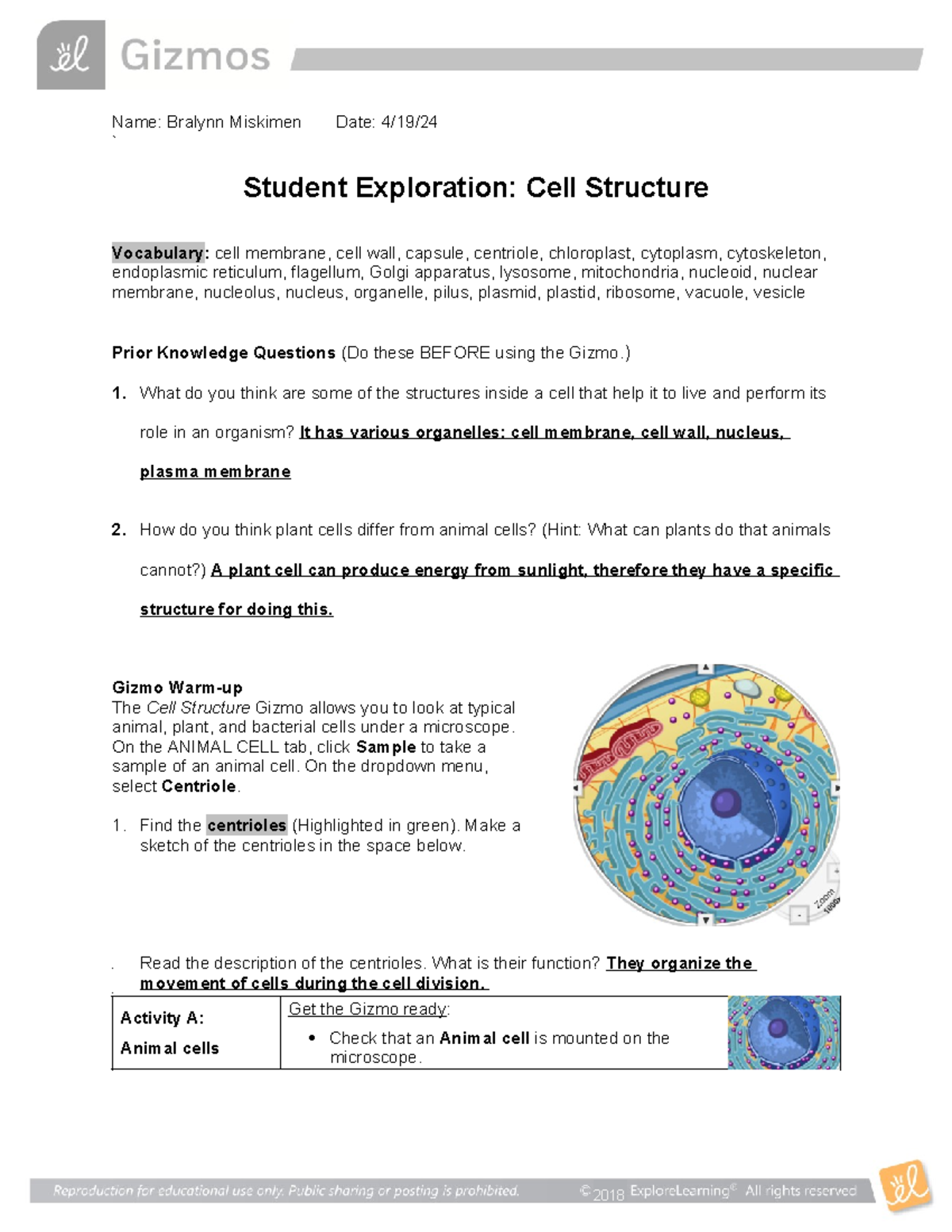 Cell Structure assignment - Name: Bralynn Miskimen Date: 4/19/ ` Student Exploration: Cell ...