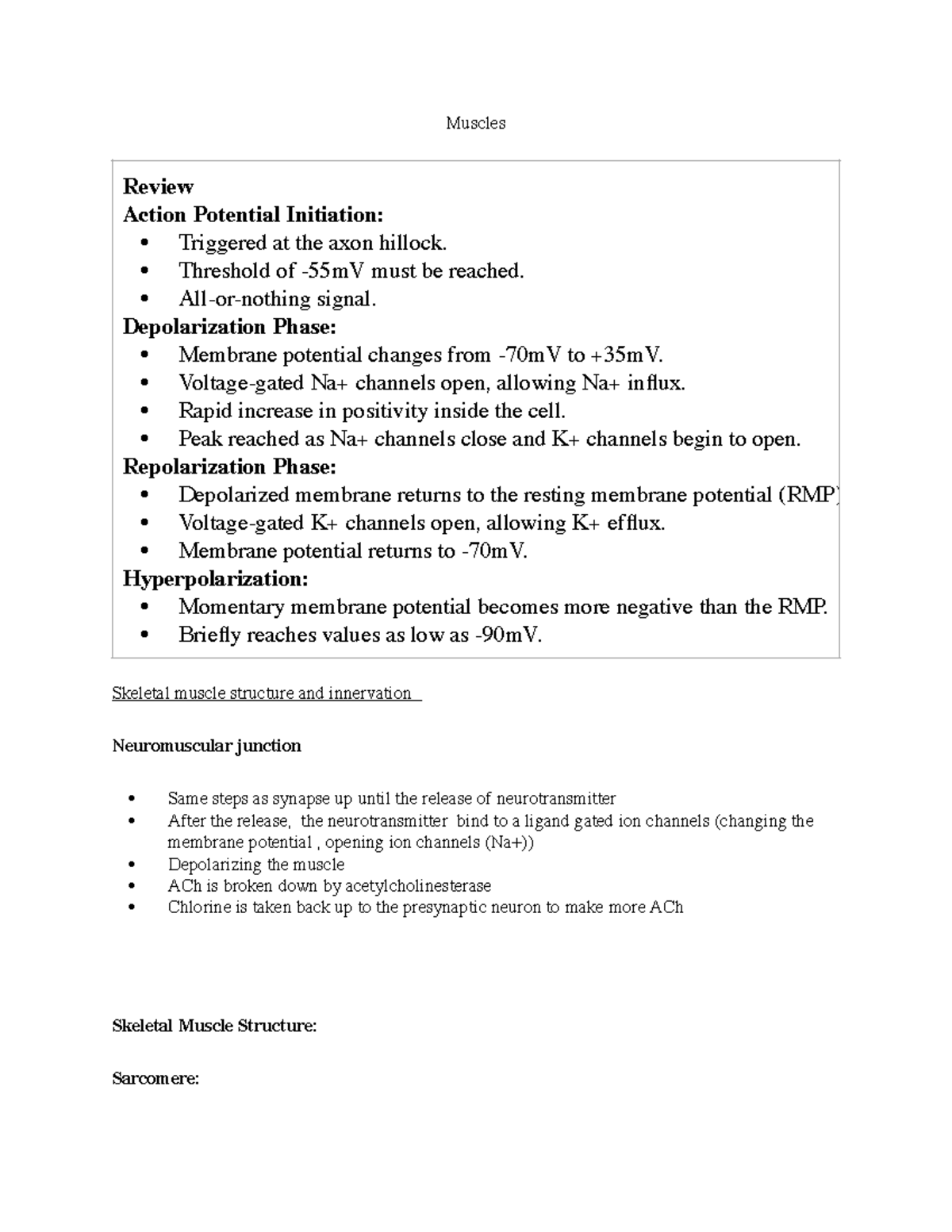 Muscle Physiology notes - Muscles Skeletal muscle structure and ...