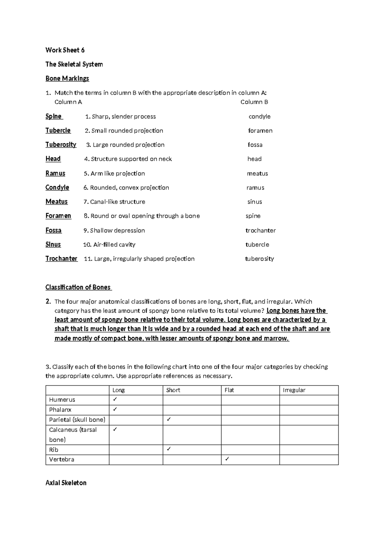 1Work sheet 6 Skeletal System - Work Sheet 6 The Skeletal System Bone ...
