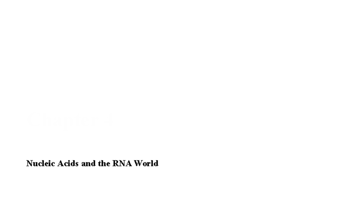 BIOL 2120- Chapter 4 - Chapter 4 Nucleic Acids and the RNA World Chapter 4 Opening Roadmap ...