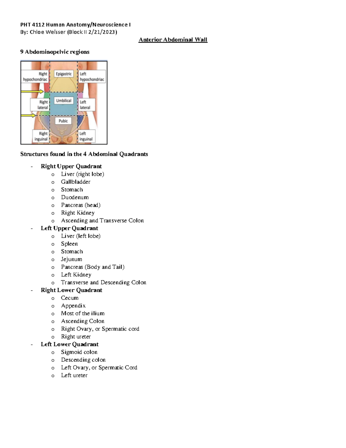 Handout-Anterior Abd Wall- Ing Canal and Anterior and Medial Thigh-CW ...