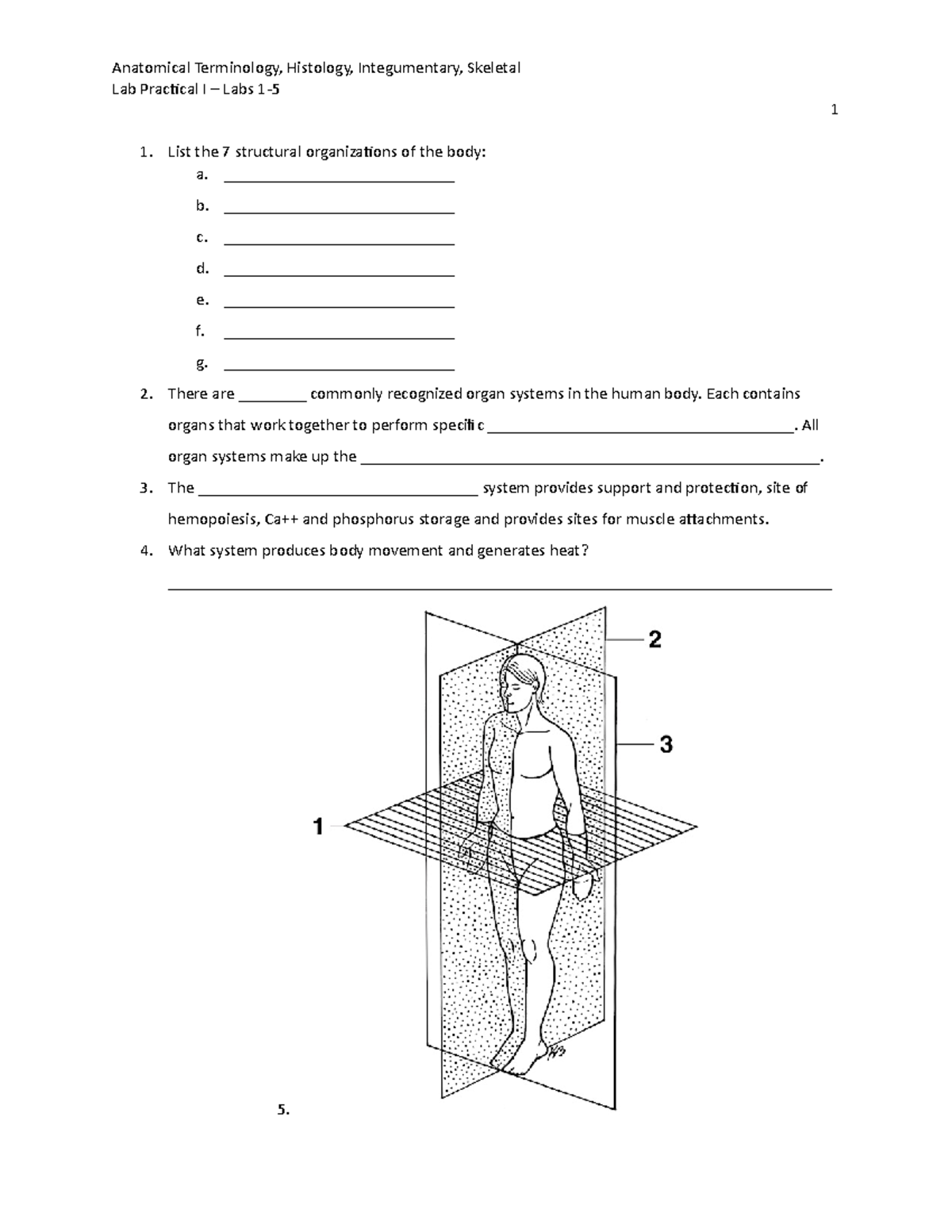 Lab Practical 1 Practice Guide Lab Practical I Labs 1 1 List The 7
