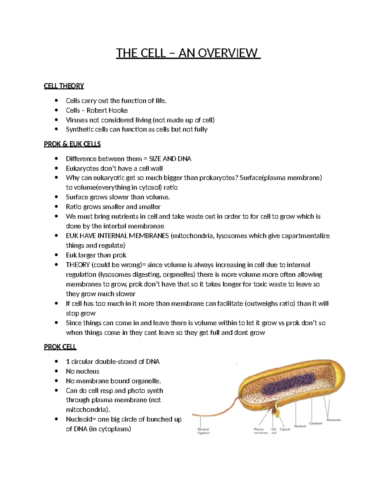 The Cell Overview - chapter 2 - THE CELL – AN OVERVIEW CELL THEORY ...