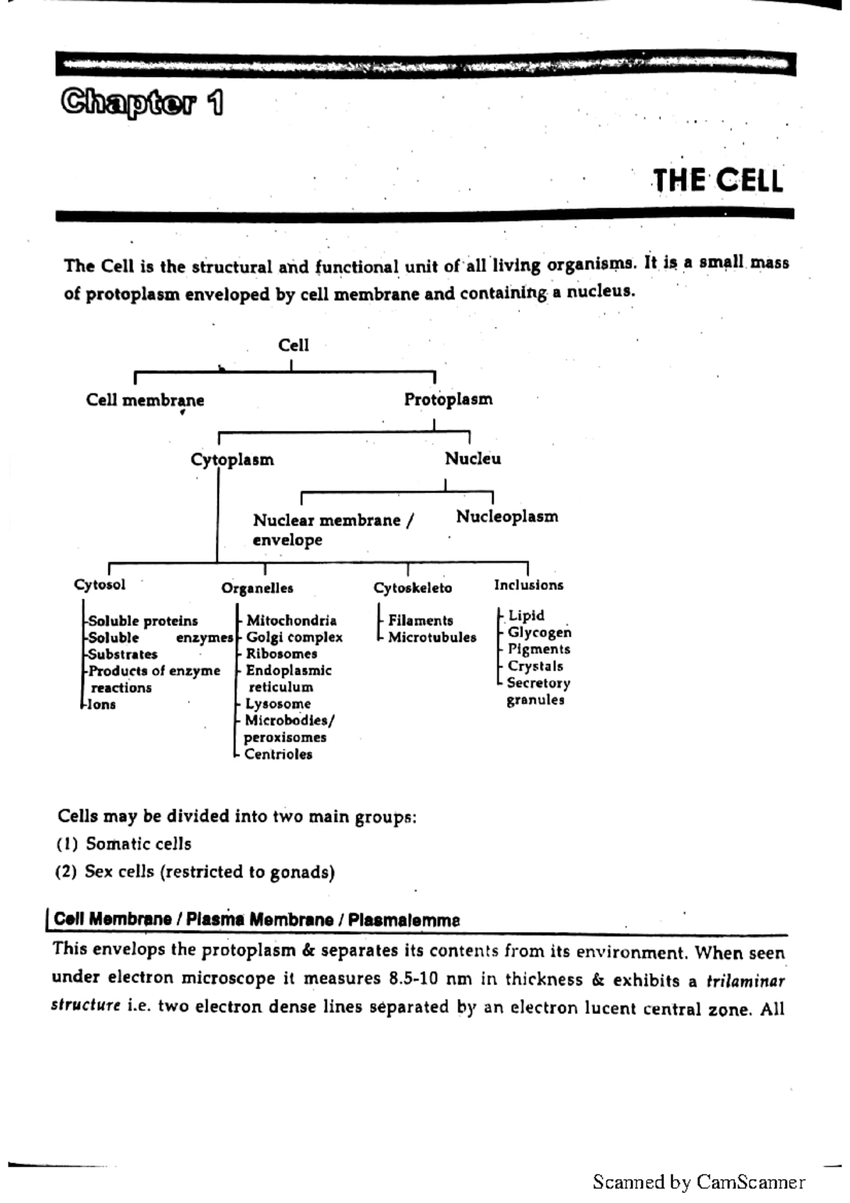Histology Firdous 1st year sb - medicine mbbs - Studocu