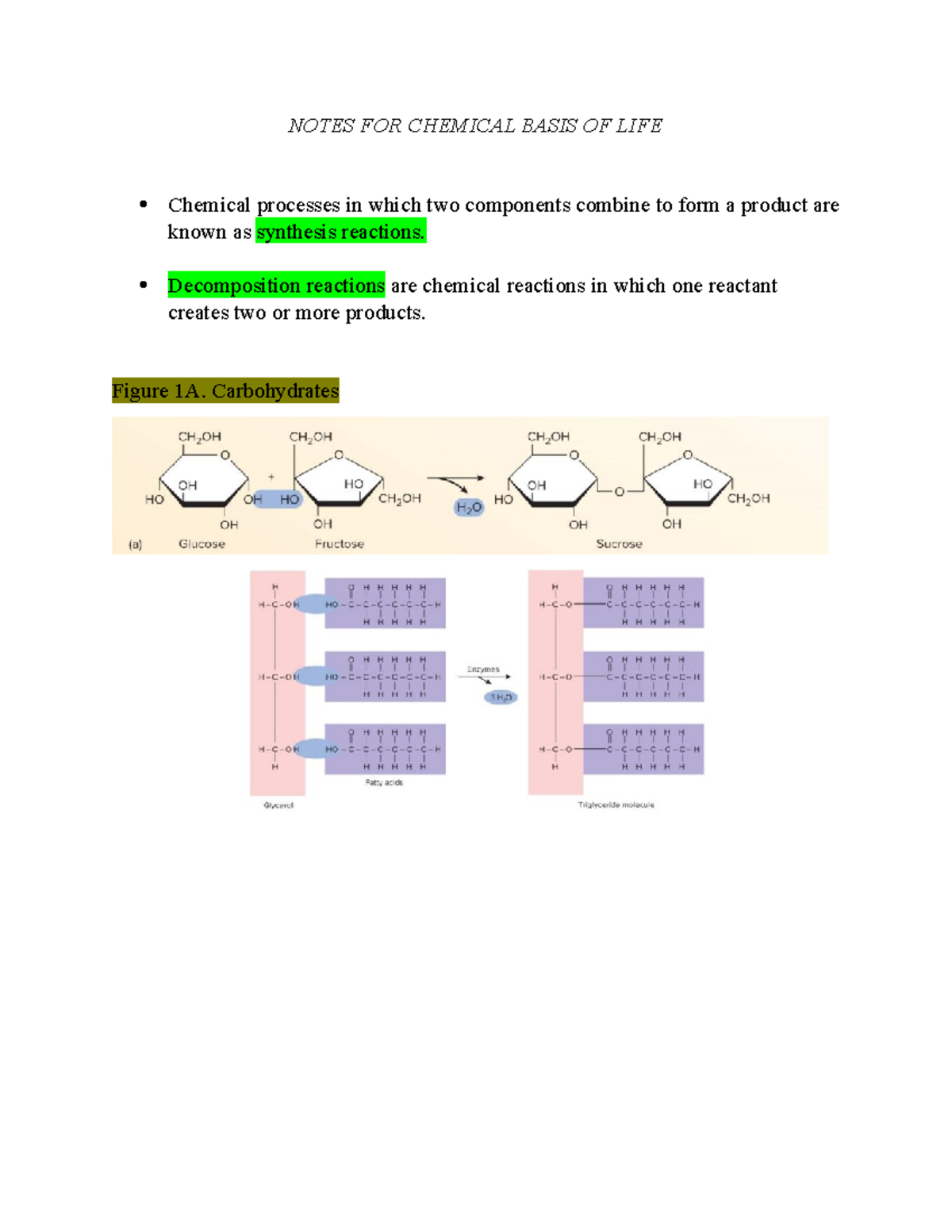 Notes FOR Chemical Basis OF LIFE - NOTES FOR CHEMICAL BASIS OF LIFE ...