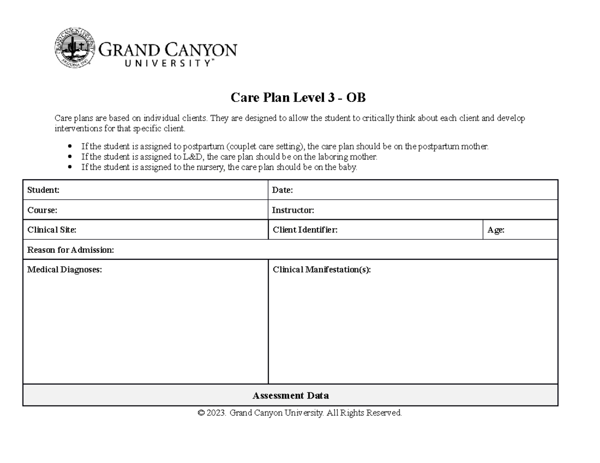 NSG 432CC RS Care Plan Level 3 OB Template - Care Plan Level 3 - OB ...