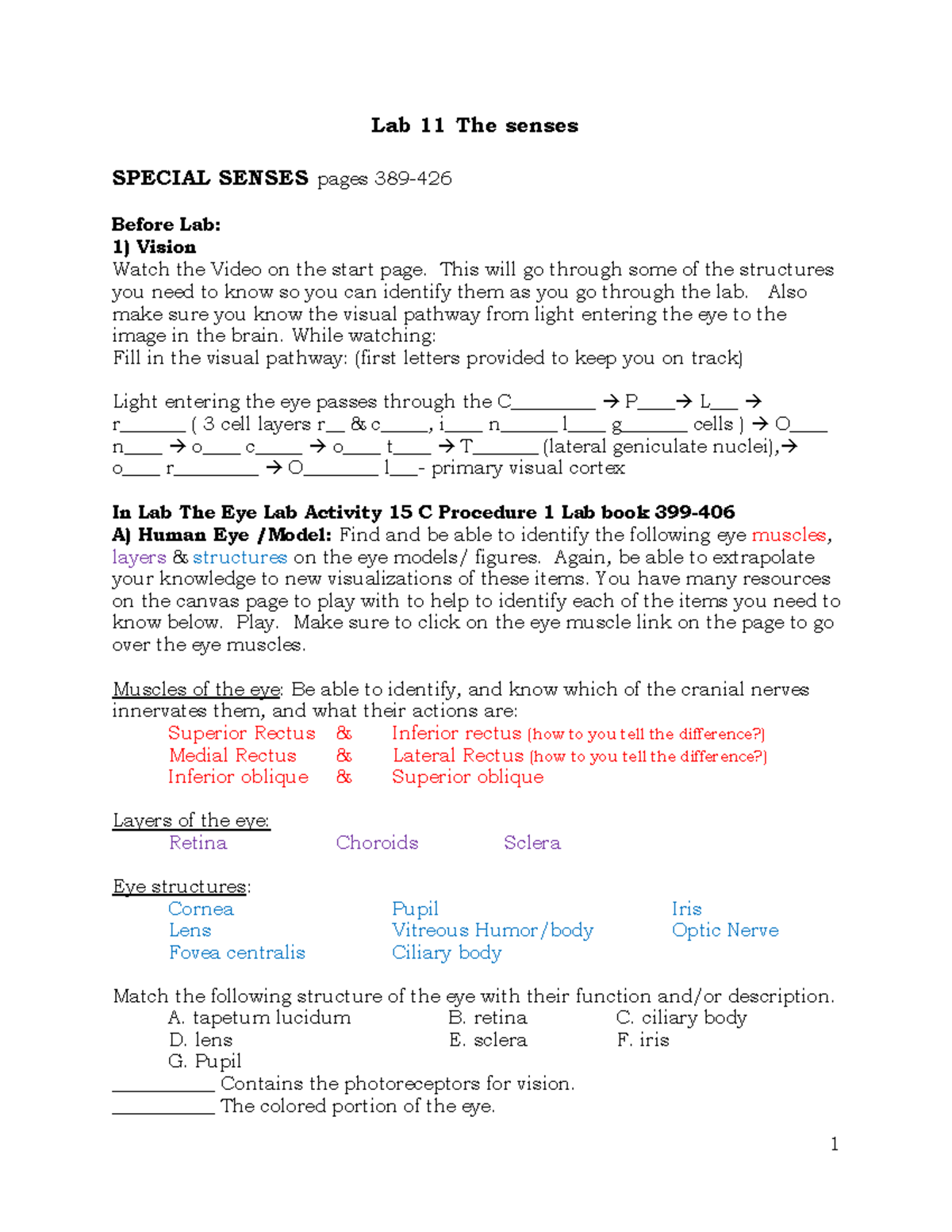 008 7 AP1 lab 11 Senses S22 - 1 Lab 11 The senses SPECIAL SENSES pages ...