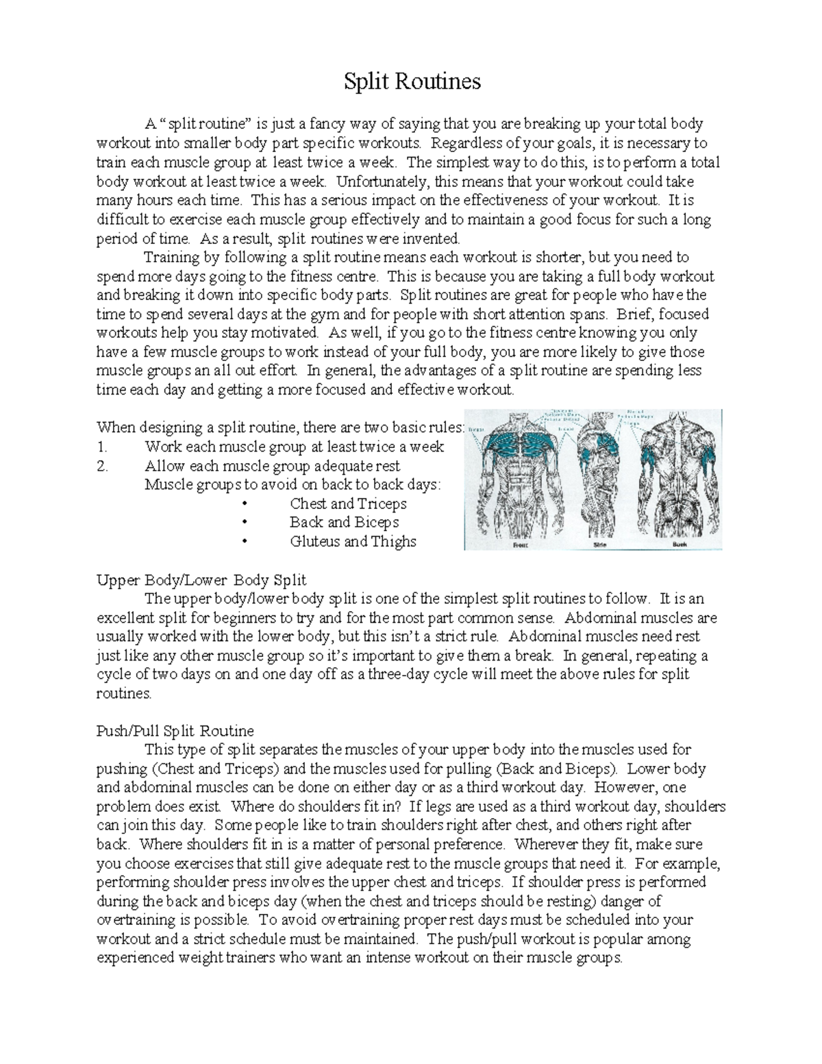 4 Split Routines - Fitness - Split Routines A “split routine” is just a ...