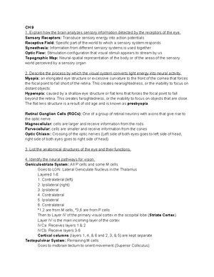 Brain Model Study - Psychology 260 – Brain Study Guide Group Members ...